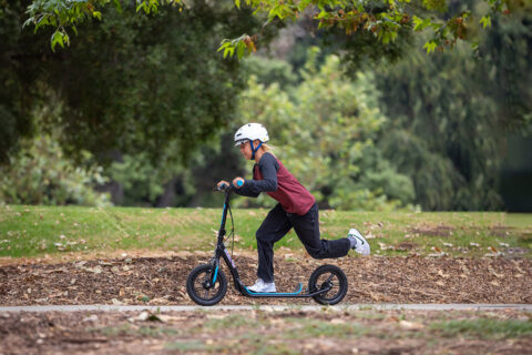 Razor Flashback - Razor